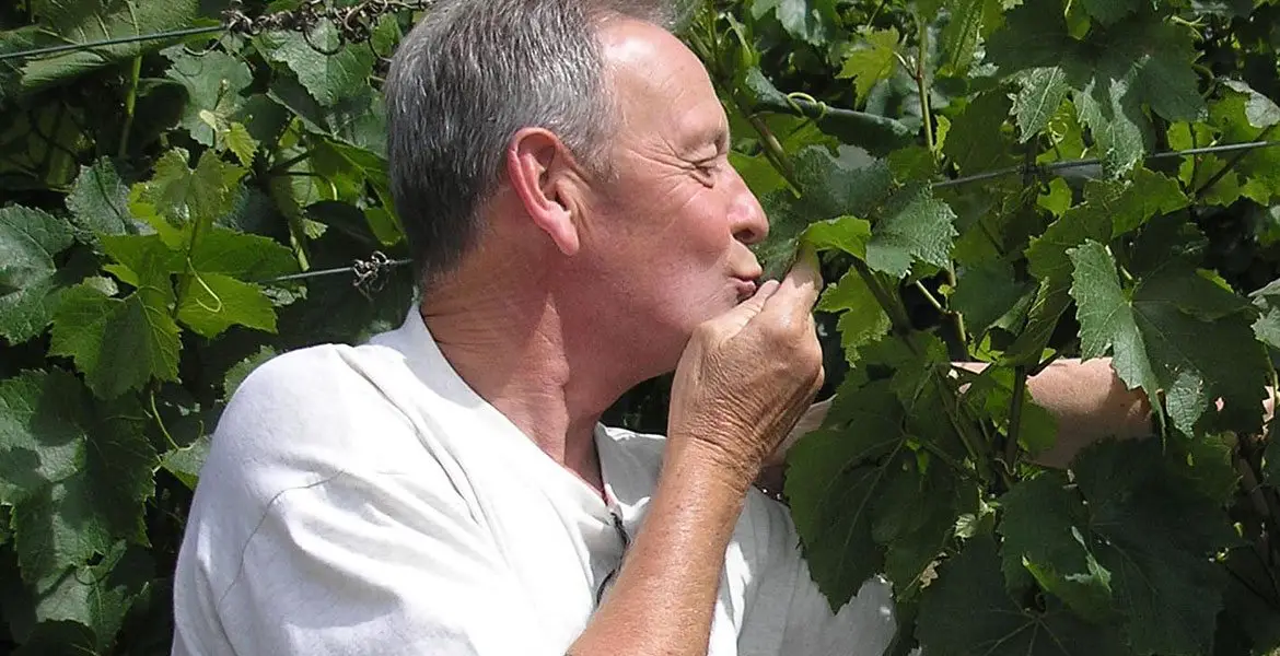 Build Your Own Wine Legacy, One Vine at a Time | TheWineBuzz