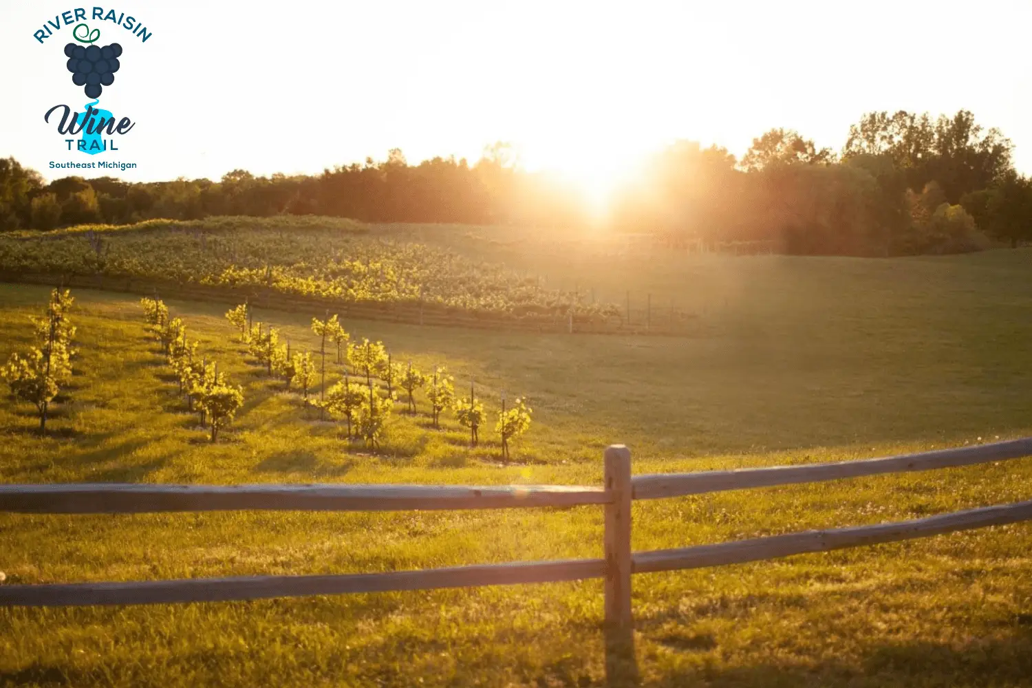 Exploring the River Raisin Wine Trail in Lenawee County, Michigan ...